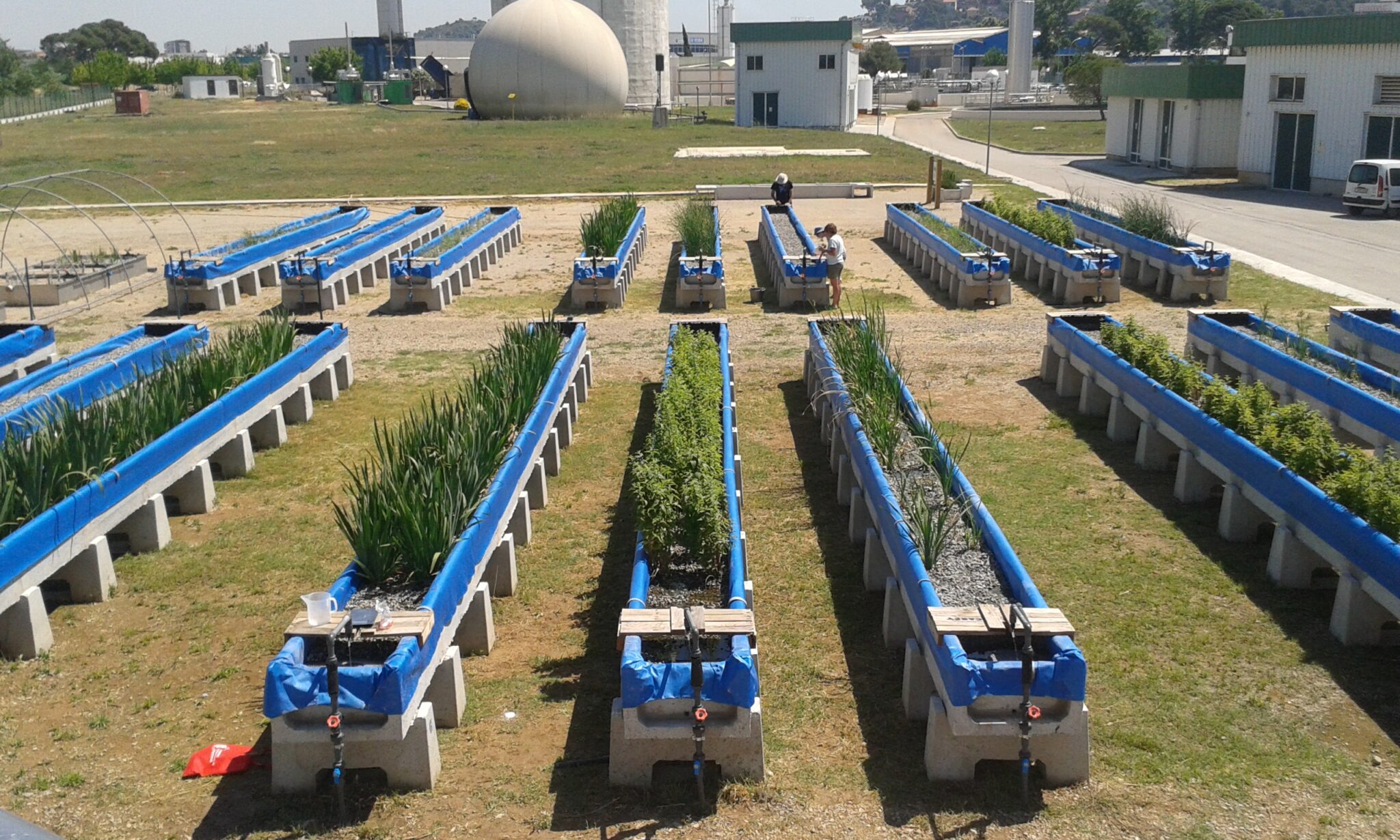 El Urban River Lab, distinguido con el Premio del Agua 2025 por su ...