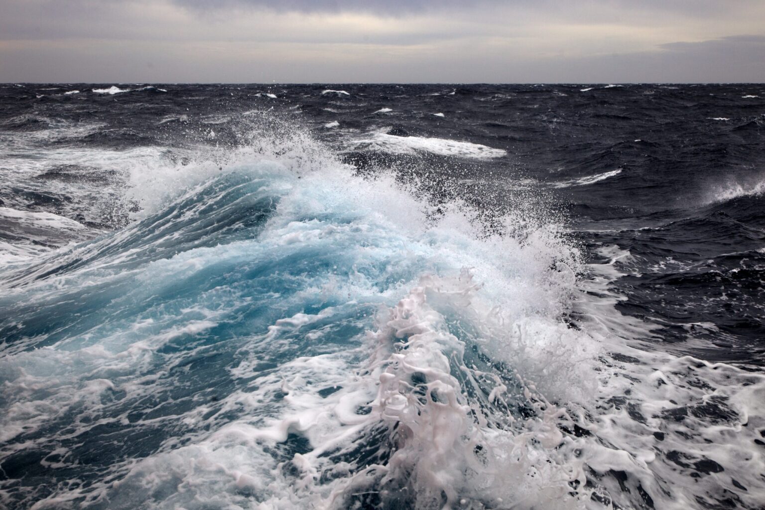 El CSIC lanza la plataforma Oceans+ para investigar la respuesta del ...