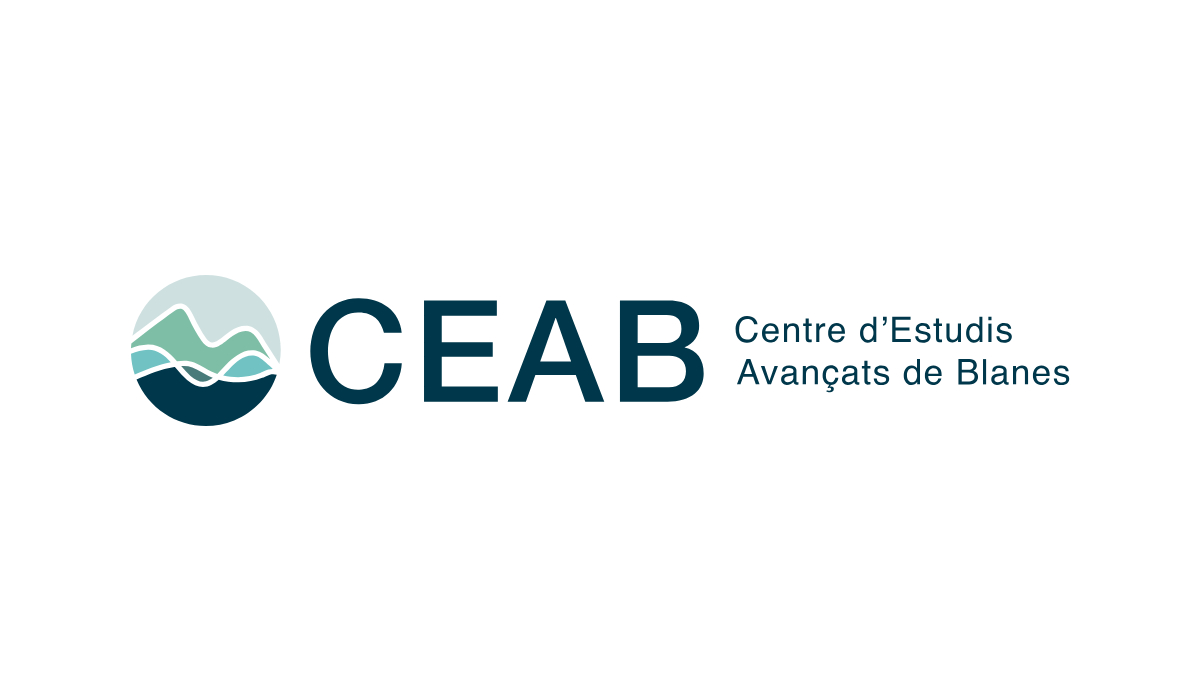 Formación y trabajo | CEAB