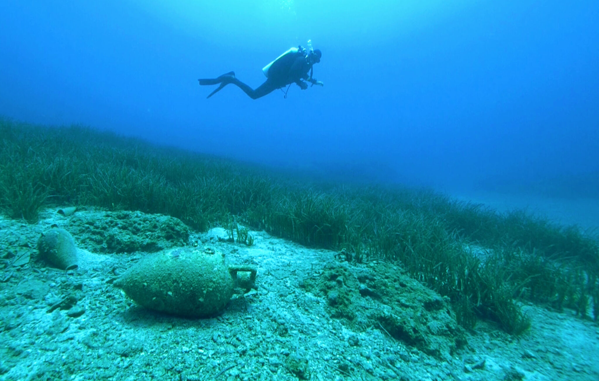 The Oldest Evidence of Human Use of Seagrasses Dates Back 180,000 Years ...
